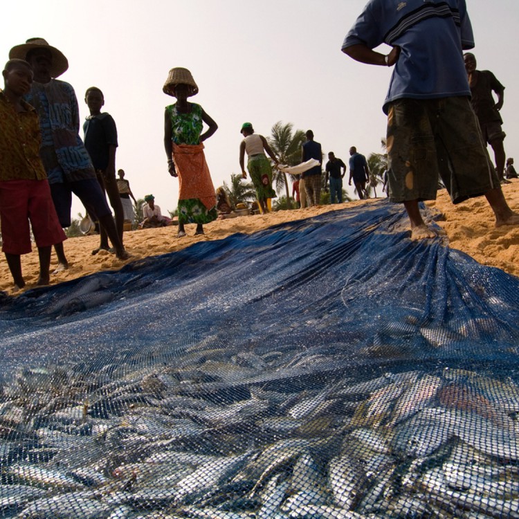 Gone fishing - Ghana Safari Tours
